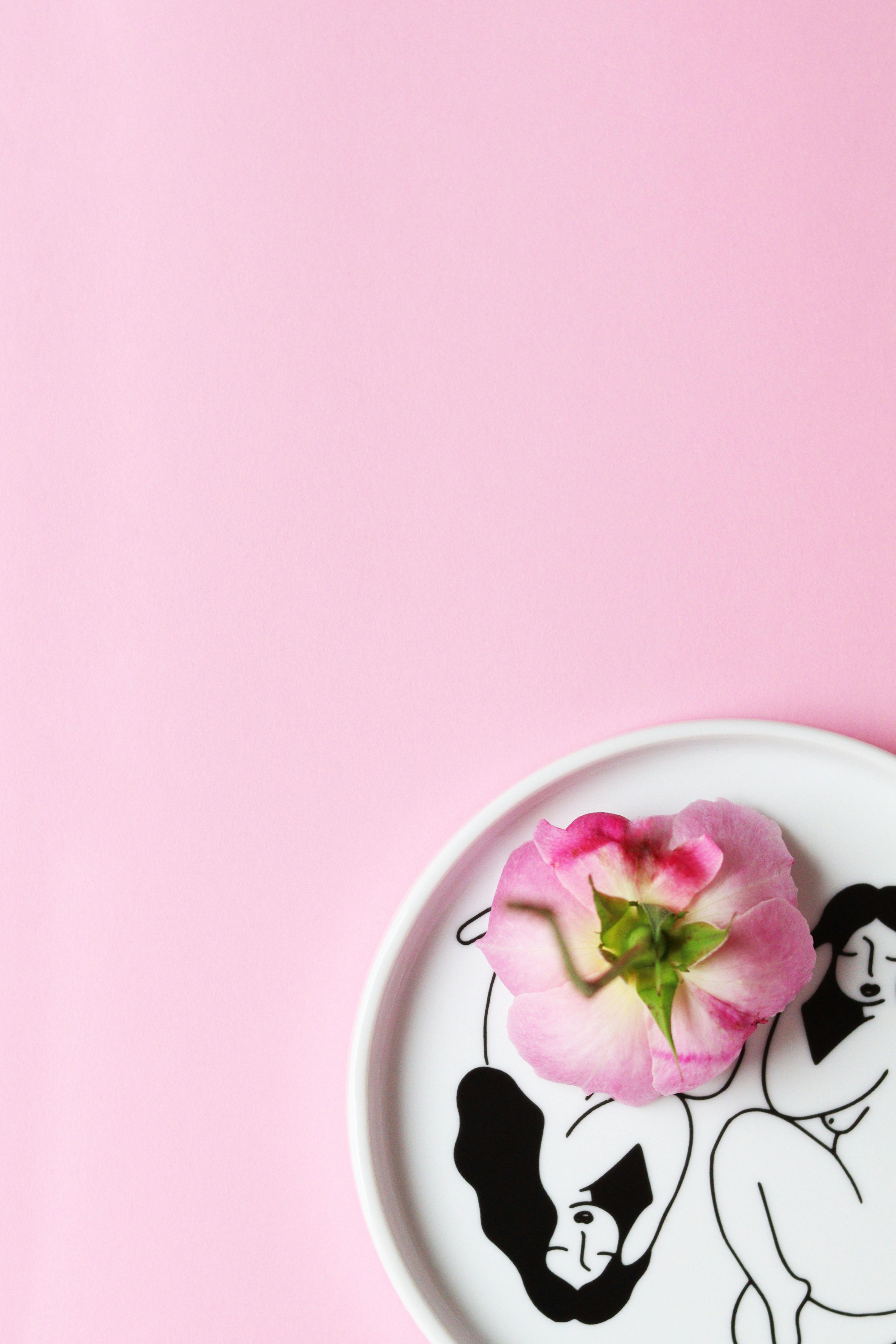 Why Patience Is Beautiful: Delayed Shipping – Reverse Beauty®